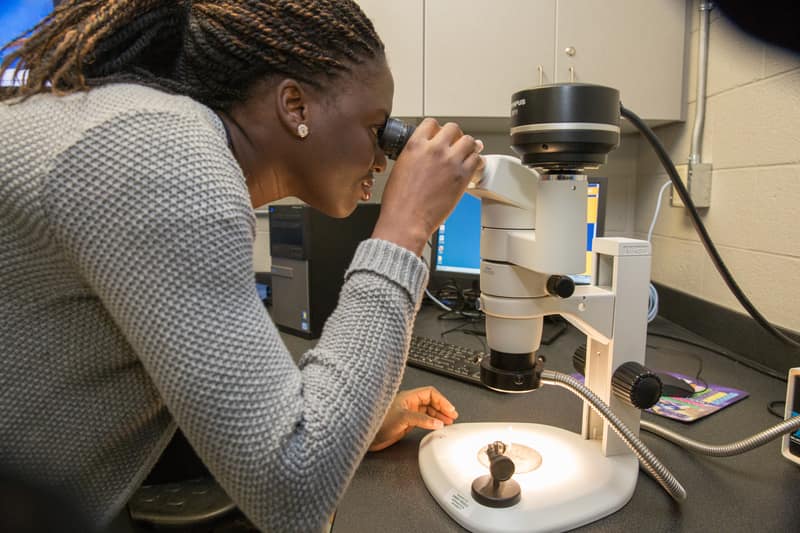 Microscopy Laboratory